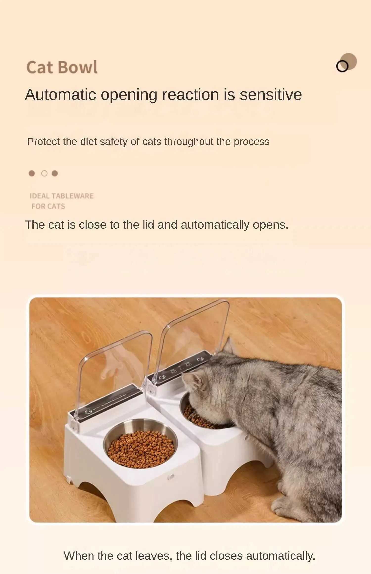 Smart Cat Bowl with Lid: Ceramic Stainless Steel Food Bowl, Neck ...