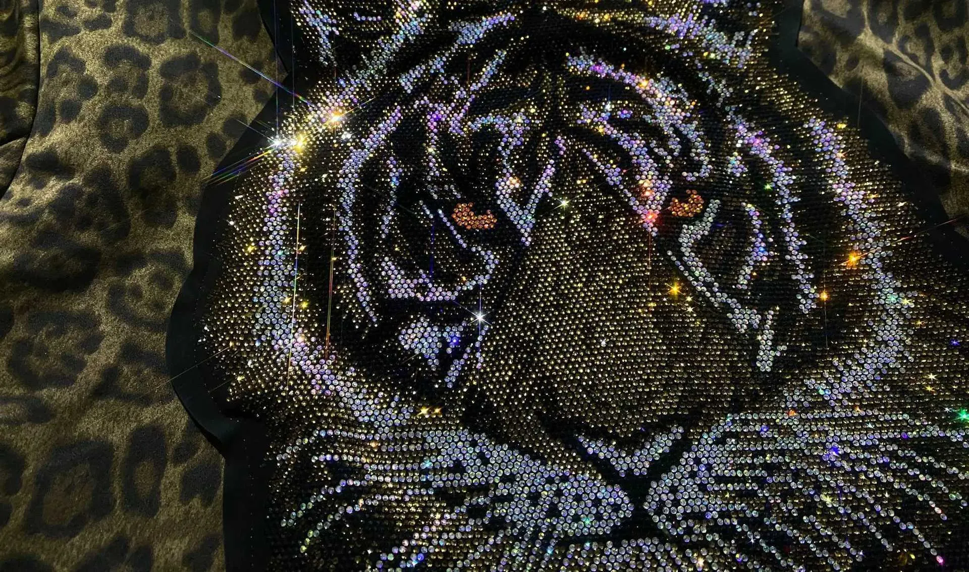 Fashion Leopard Print Jacket: Women's Drawstring Short Zipper Autumn ...