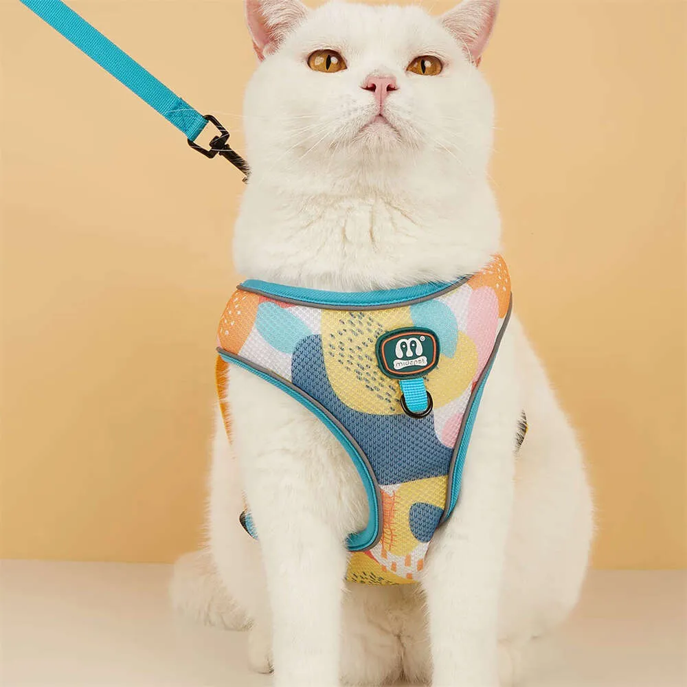 Summer Blue Cute Cat and Dog Pet Harness and Leash Two-Piece Set from ...