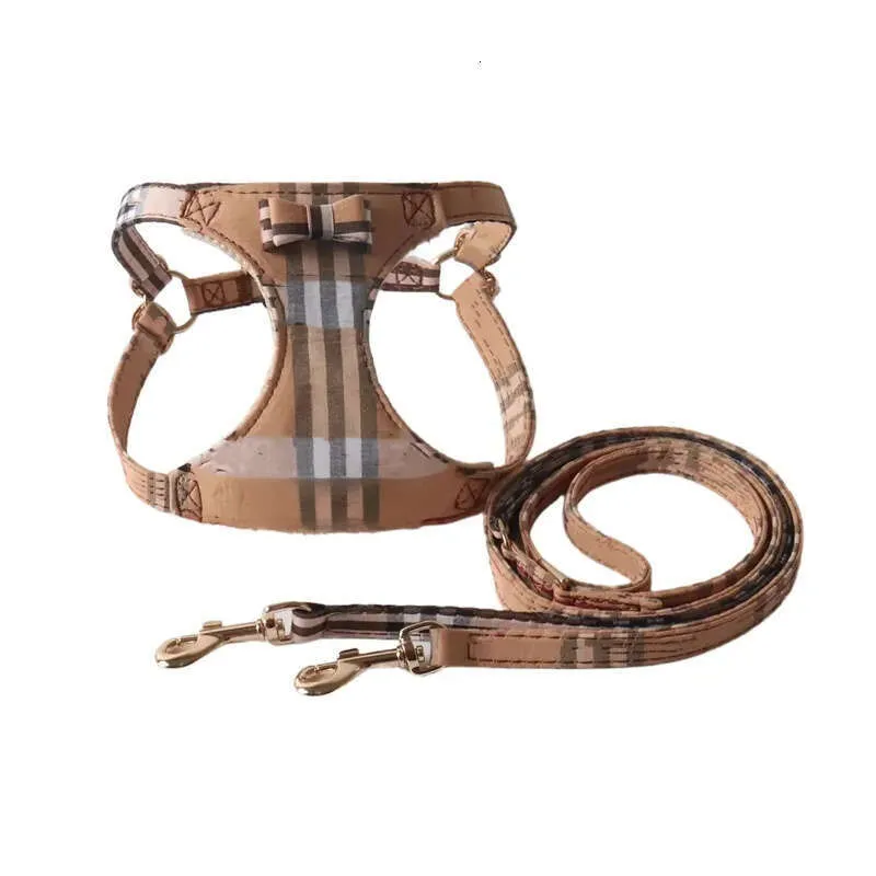 Designer Dog Harness and Chain Lead Set for Small Dogs and Cats ...