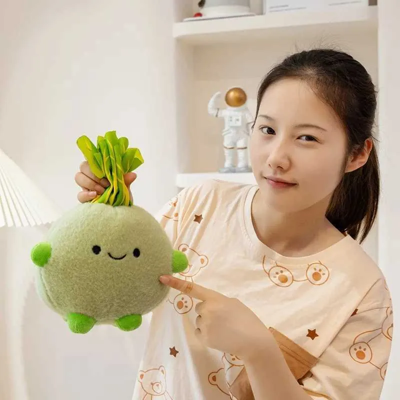 Cartoon Vegetable Family Plushie: Broccoli, Eggplant, Garlic, Radish ...