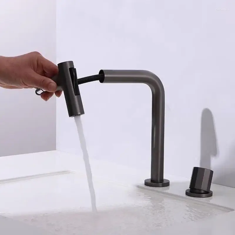 Bathroom Sink Faucet with Pull-Out Sprayer, Single Handle, Dual Hole ...