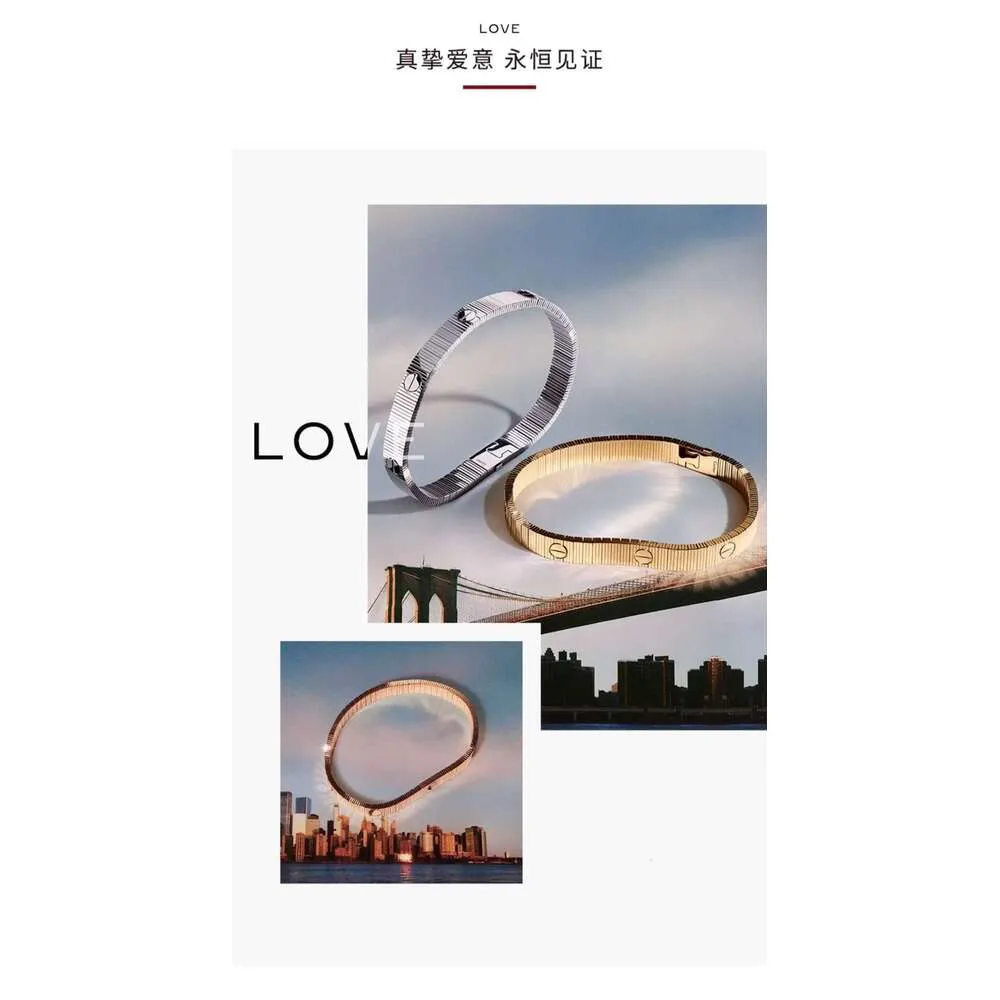 Luxury Screw Bangle Bracelet for Women with Titanium Alloy Snake Chain ...