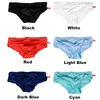 Sexy Swim Trunks For Men: Sheer Low Rise Swimming Briefs, Lightweight ...
