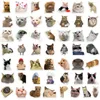 Funny Cat Meme Stickers For Laptop, Luggage, Skateboard Waterproof PVC ...