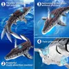 Electric Dinosaur Toy: Remote Control Tylosaurus Model That Swims ...