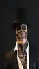 Halloween Movable Jaw Full Head Skull Mask Skeleton Costume, Horror ...