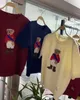 Cartoon Bear Appliqued Knit Pullover Women's Top Short Sleeve Knitted T ...