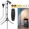 LED Floor Lamp 12W E27 Indoor Spotlight with Timer Remote 2700-6500K ...
