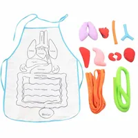 Science Discovery Anatomy Apron Human Body Organs Educational Insights ...