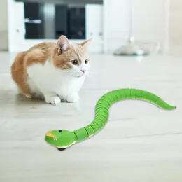 petsmart snakes ball python