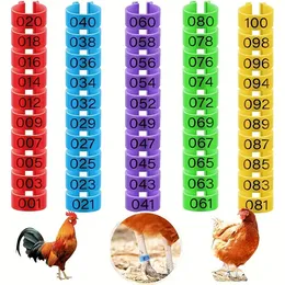 Bird Identification Rings 100-Piece Poultry Leg Bands - Chicken ...