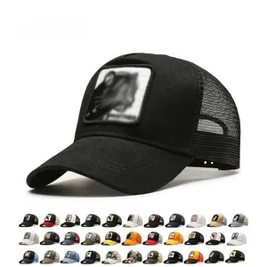 hats & caps-DHgate.com