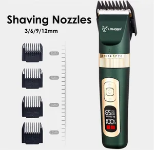 Top Grooming Tools Every Groomer Should Own