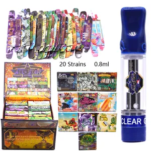 The Ultimate Guide to All Star GOLD COAST CLEAR GCC & Summer Edition ...