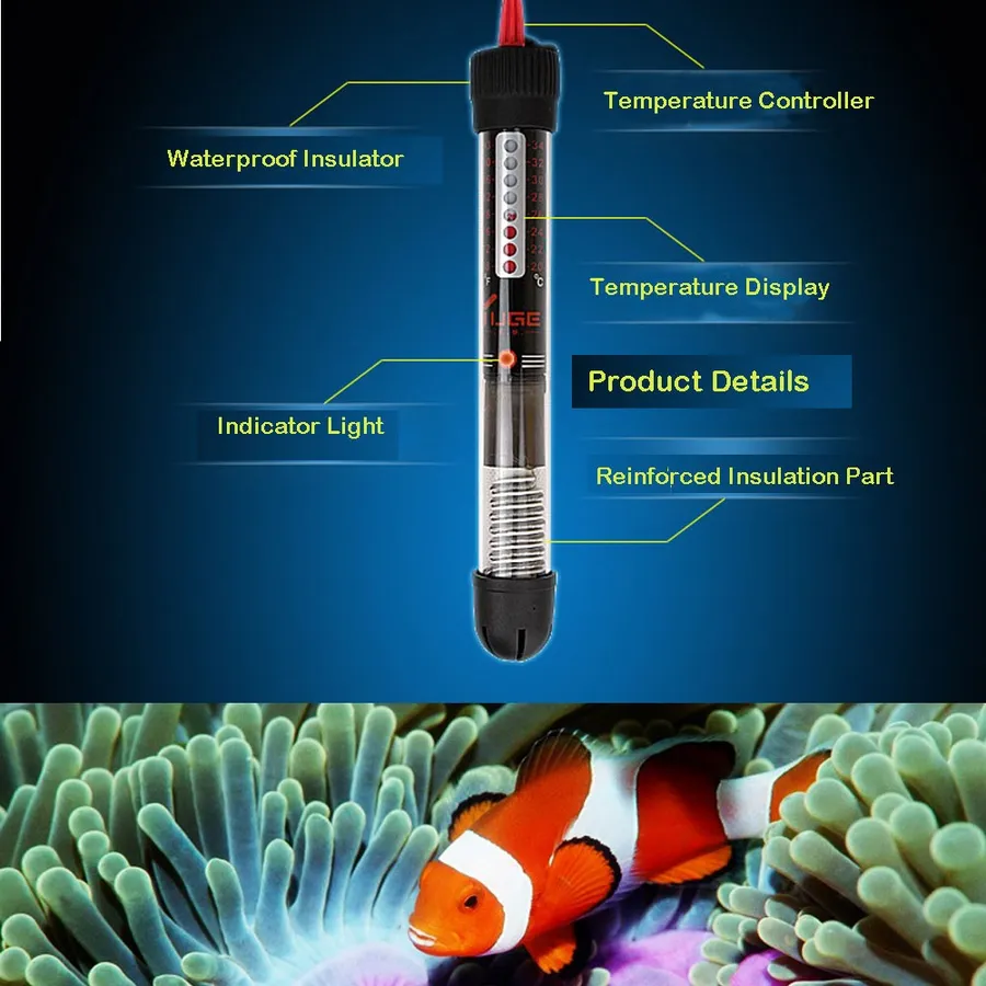 Effective Methods to Identify and Treat Ich in Your Fish for a Healthy ...