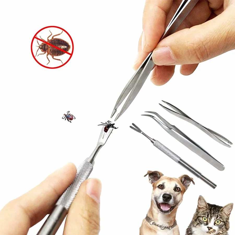 A Step-by-Step Guide to Using a Tick Removal Tool Safely and Effectively - Smart.DHgate ...