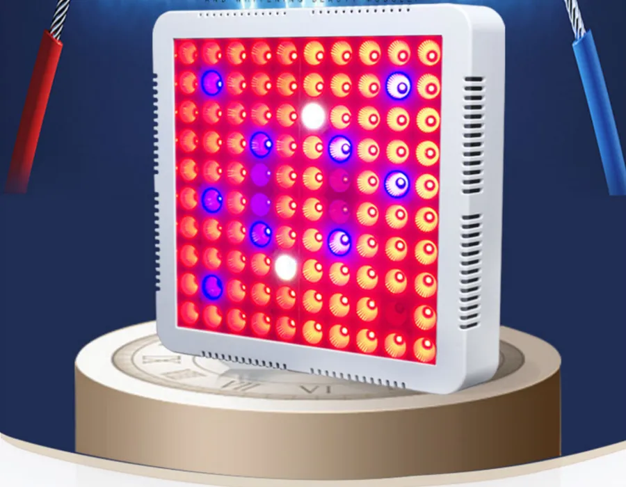 Blue vs. Red Light for Plant Growth: Is Red Light Still Worth It ...