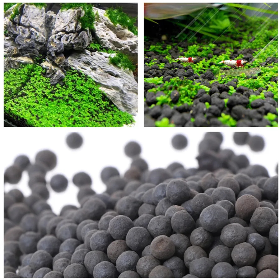 Choosing the Best Substrate for Your Freshwater Tank: A Practical Guide ...