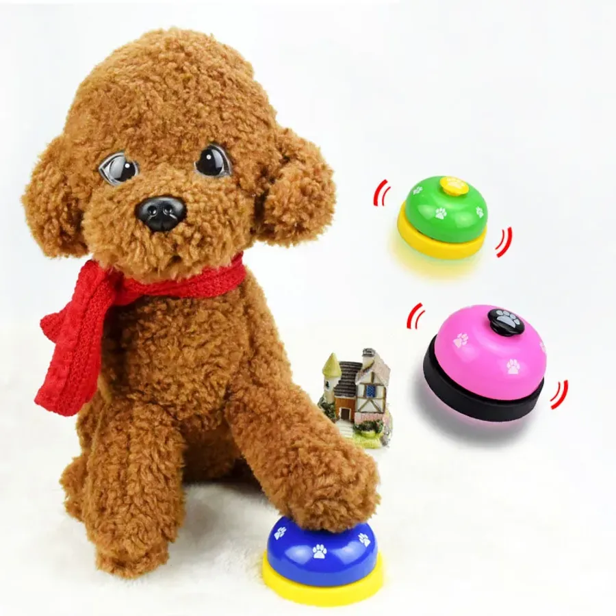 Mastering Bell Training for Dogs: A Step-by-Step Guide to Effective ...