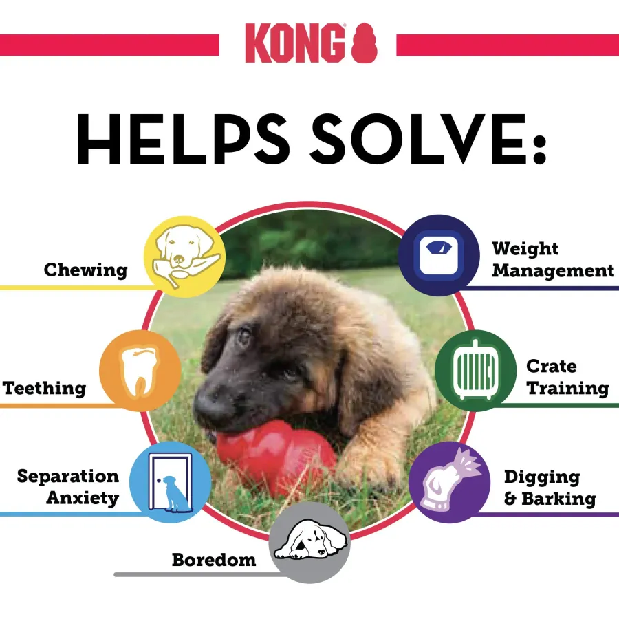 How to Effectively Use KOE Odor Eliminator for Lasting Kennel Freshness ...