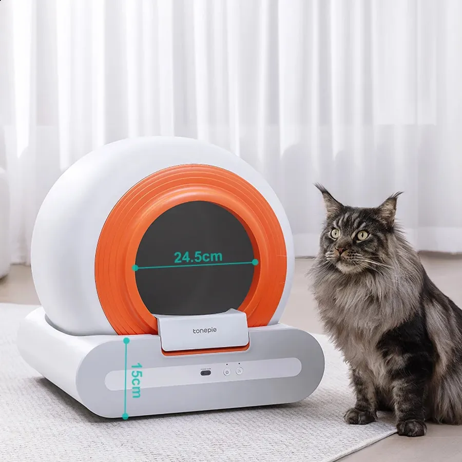 Effective Solutions for the Best Way to Keep Litter Box from Smelling ...