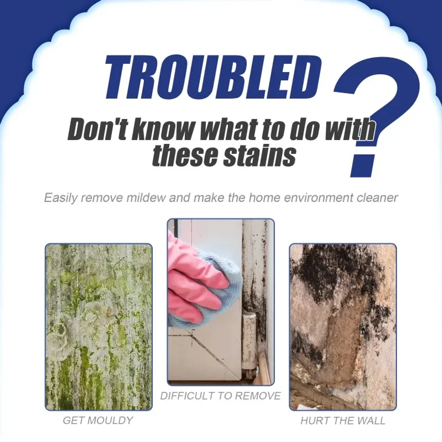 Effective Methods to Clean Mold in Your Car and Prevent Its Return ...