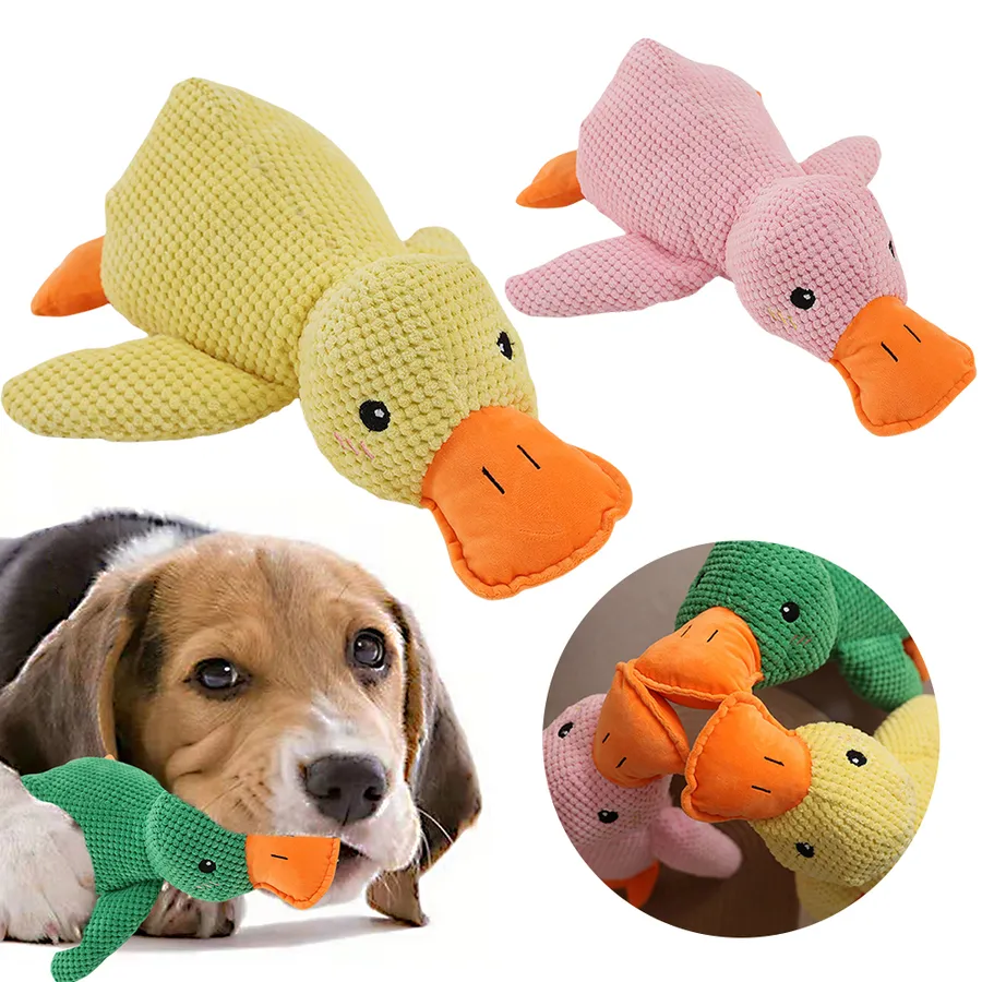 Effective and Safe Methods to Tranquilize Your Dog for Stress-Free ...