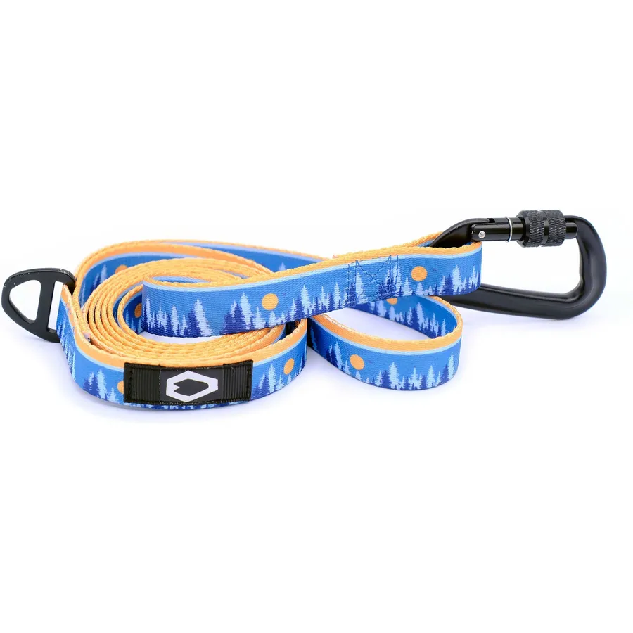 4-foot vs 6-foot dog leash: Does that extra length *really* matter ...