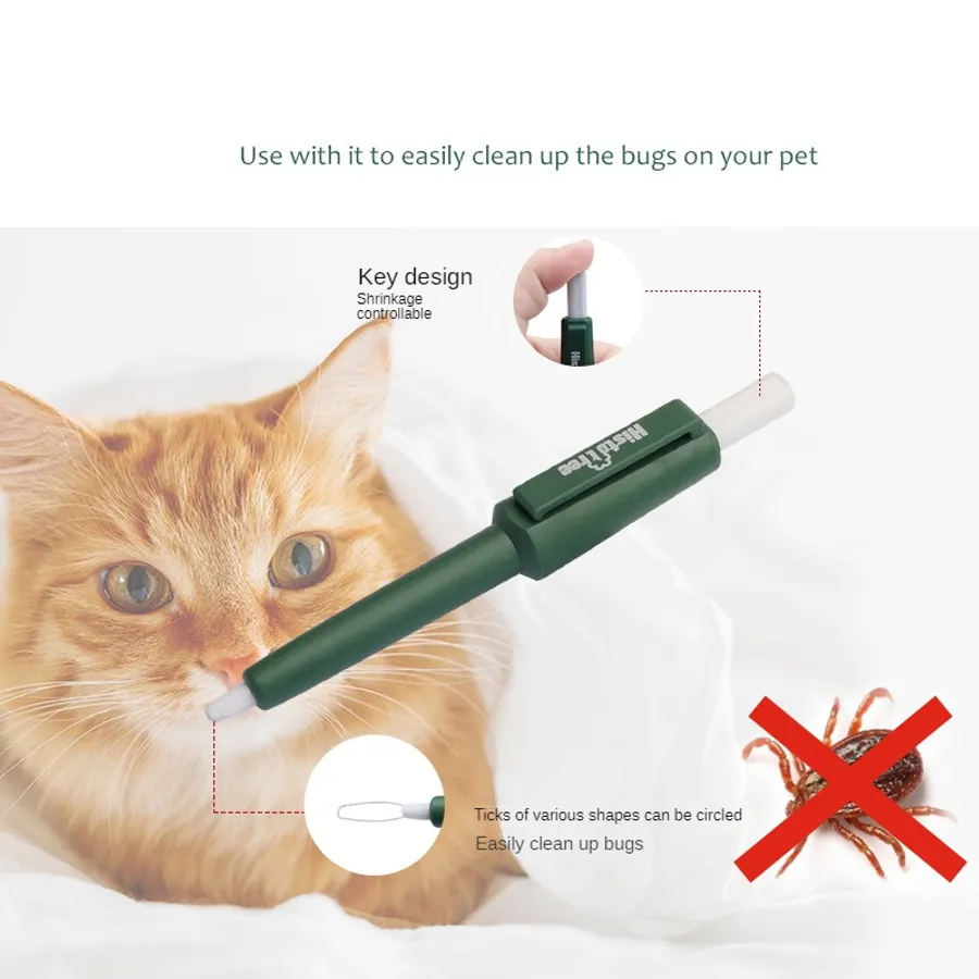 Expert Tips for Safely Removing a Tick with Tweezers: A Complete Guide ...