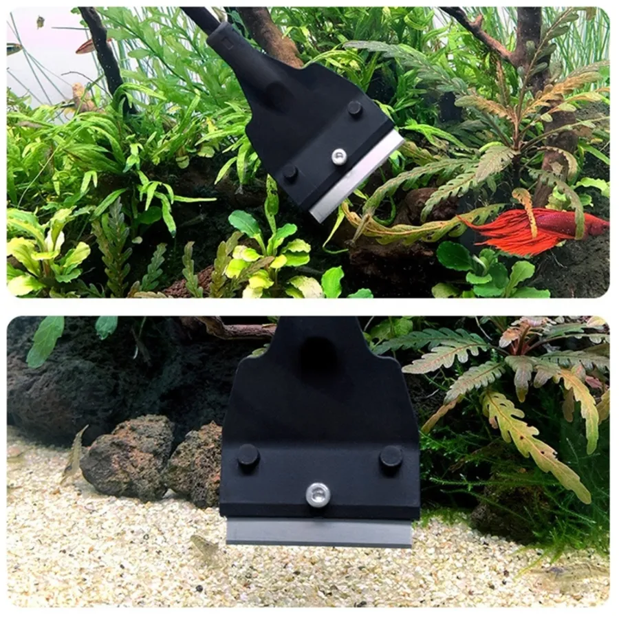 Essential Tips for Effectively Cleaning a Small Aquarium Without Stress ...
