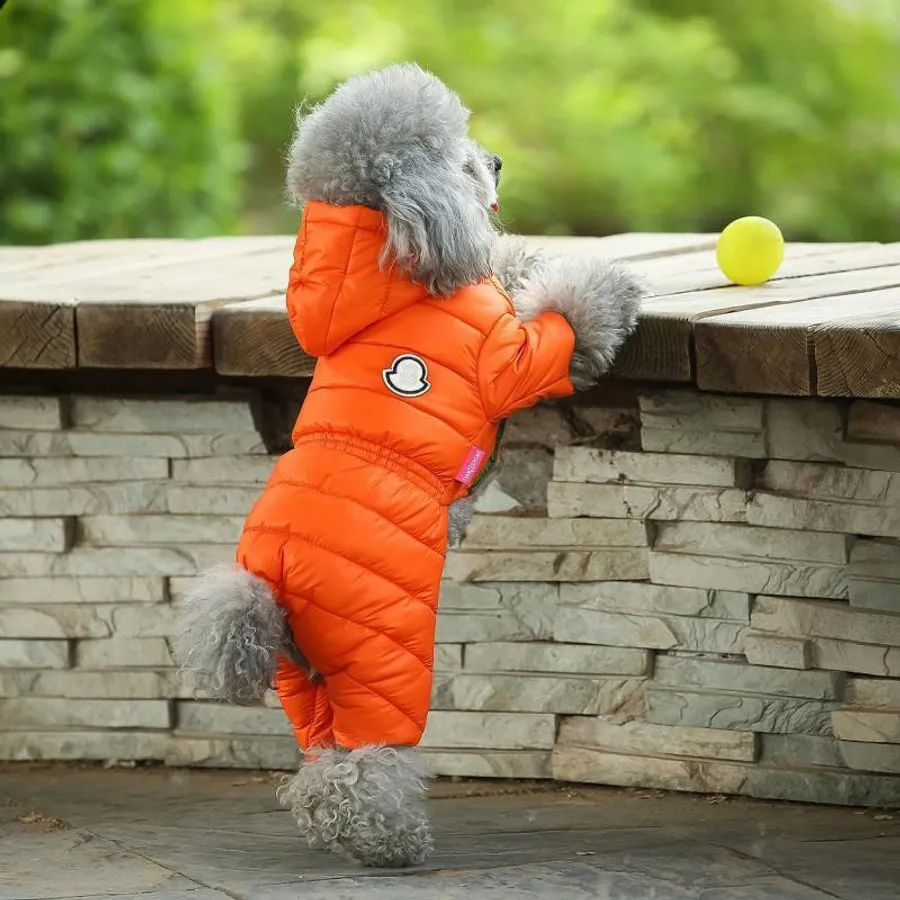 Fleece vs Puffer dog coat: which one will ACTUALLY keep my dog warmer ...