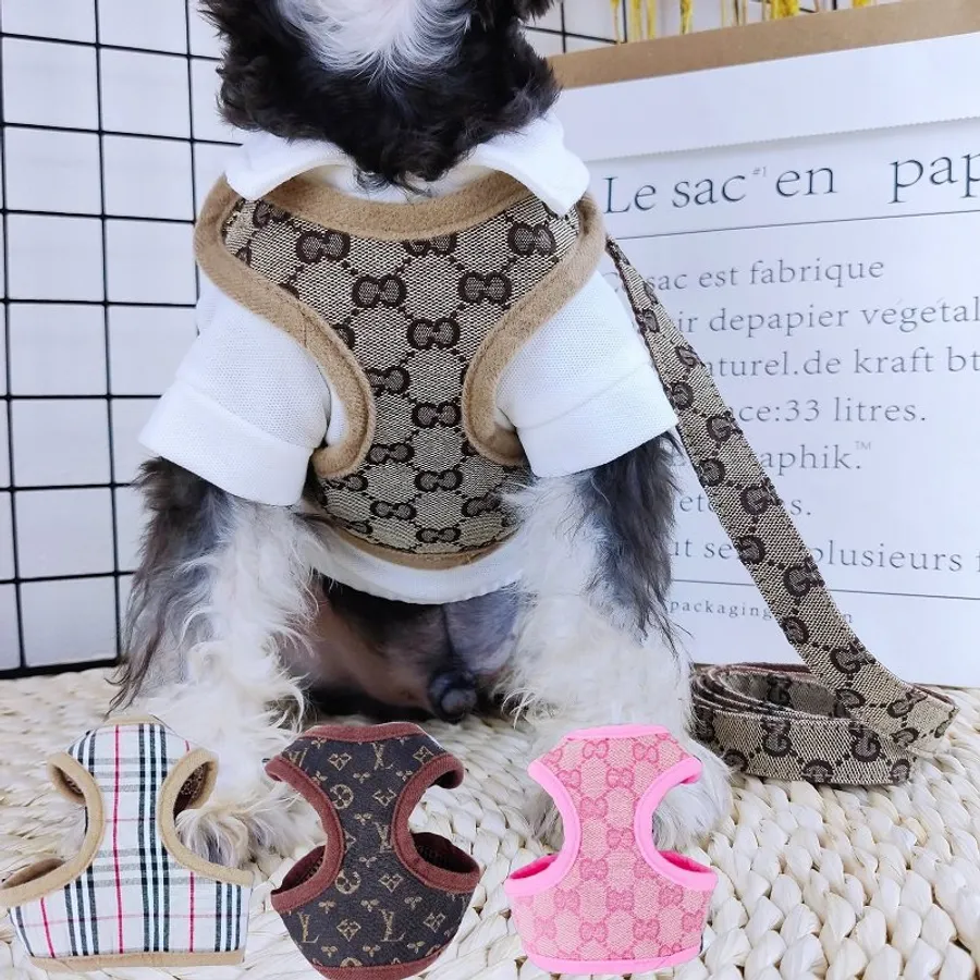 Designer Dog Harness vs Standard: Is the extra cost REALLY worth it for ...