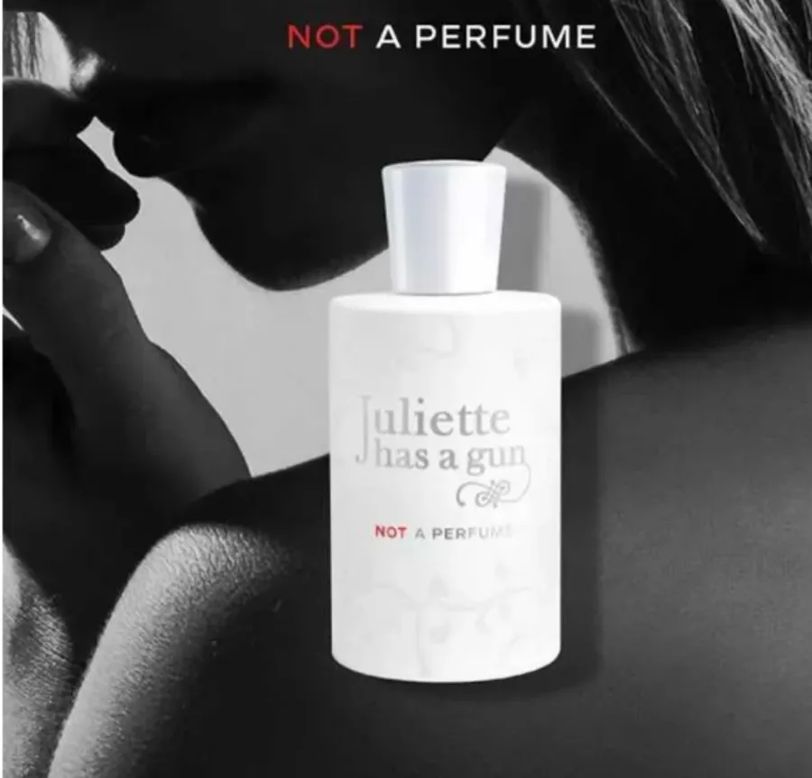 How to Identify Health Issues in Stray Cats: Key Symptoms to Watch For ...