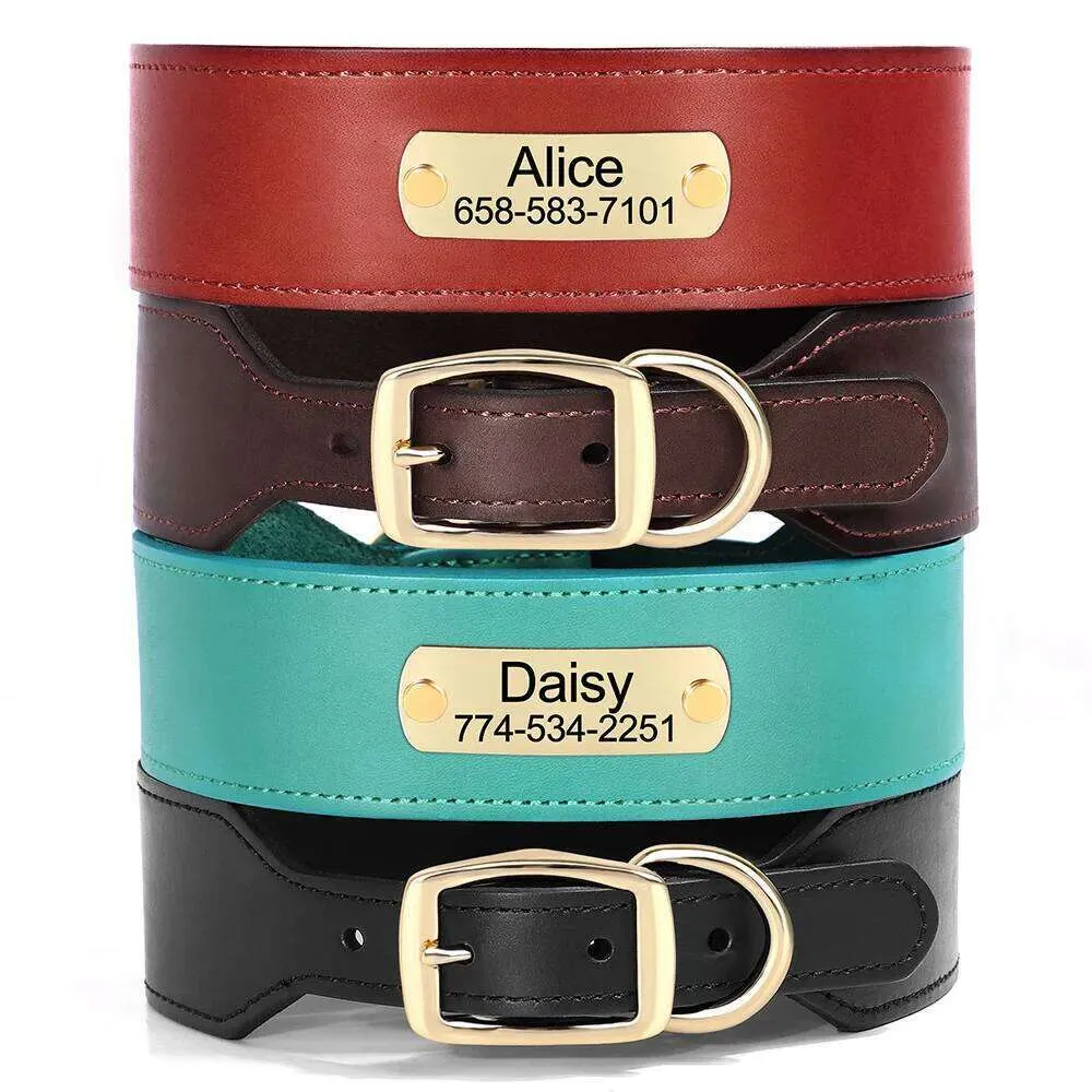Customized Engraved Dog Collar Wide Canvas Collars Personalized Name ...