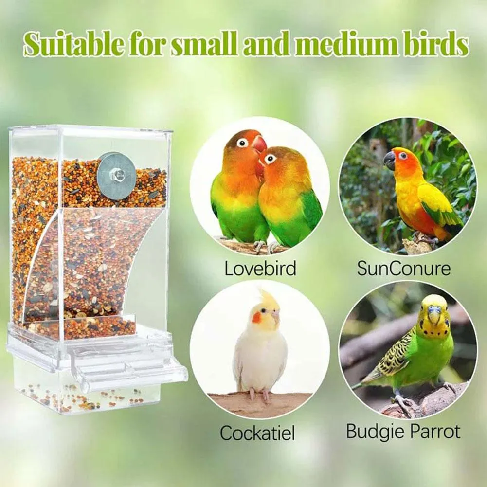 Transparent Automatic Automatic Parrot Feeder For Canaries, Budgies ...