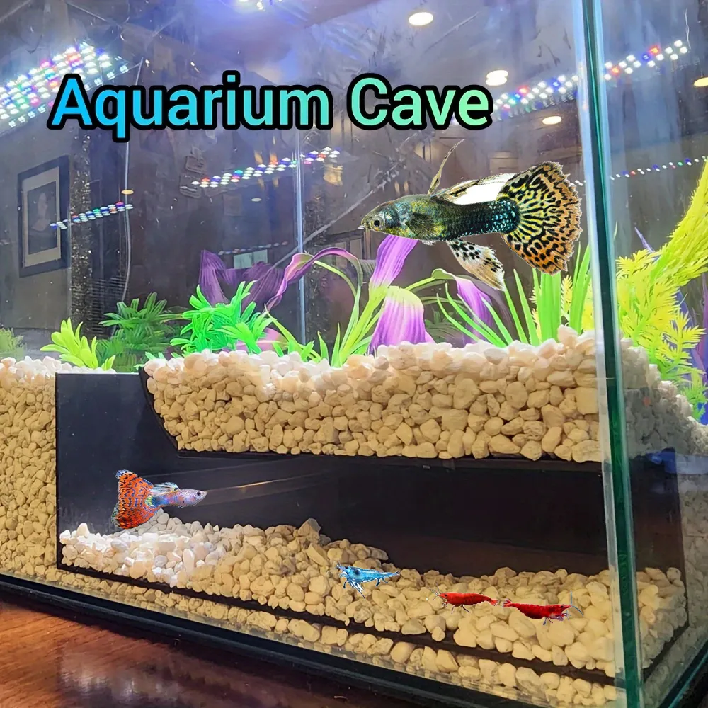 Aquarium Ornaments For 30 Gallon Tank: Top Picks 2026 - Insider Fish