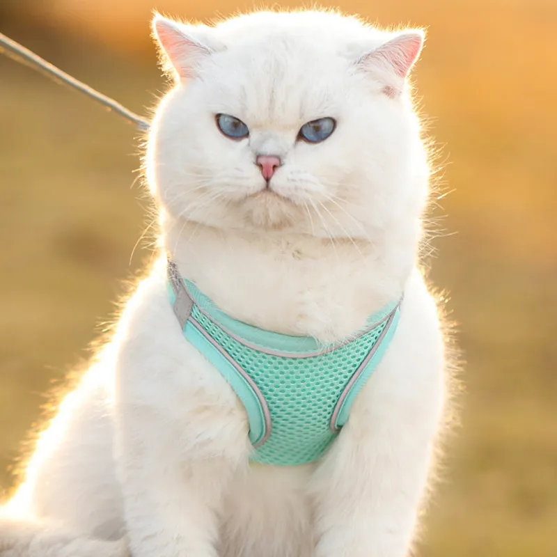 Kitten Harness And Leash Breathable Cat Harness & Leash Set ...