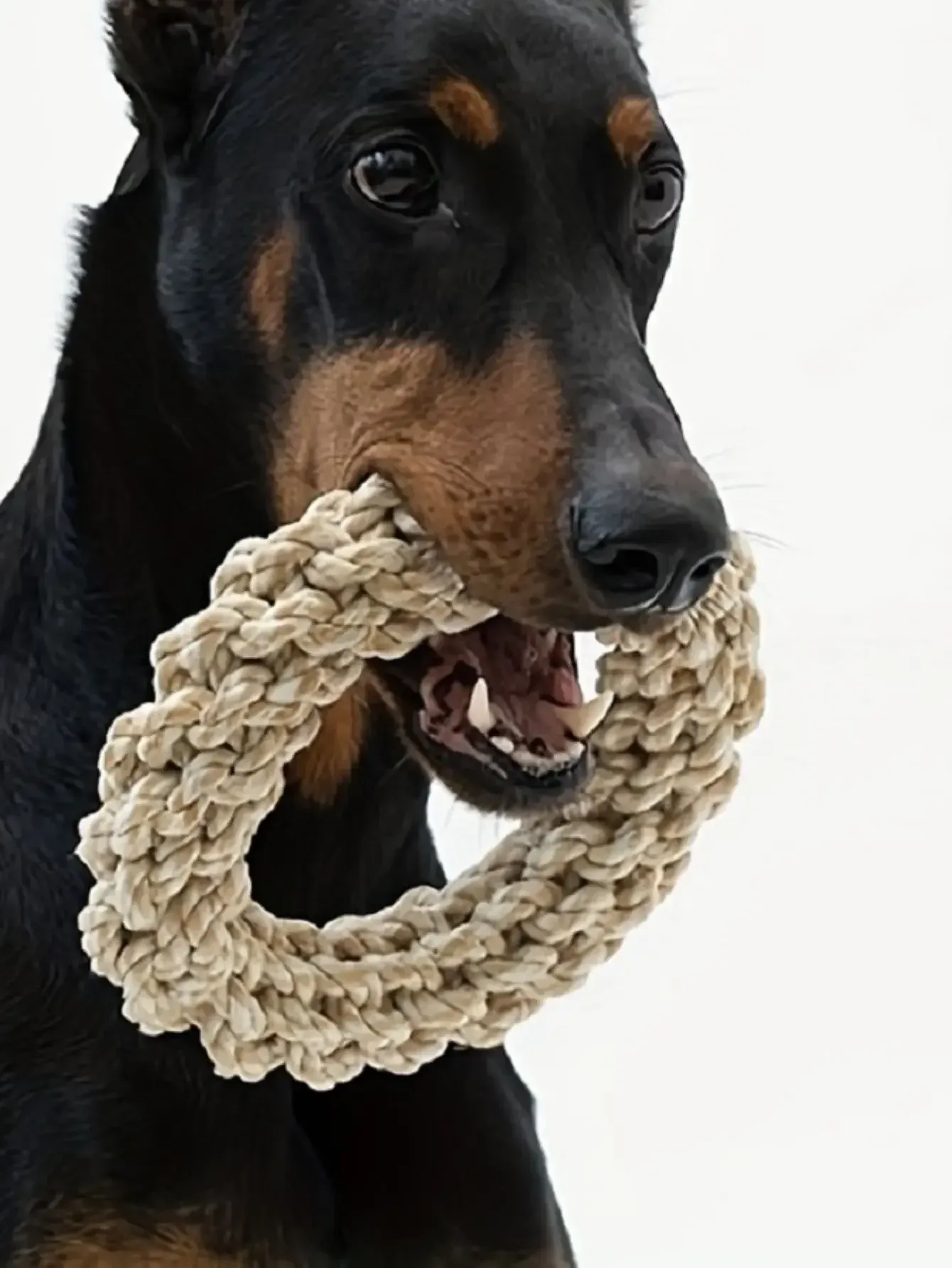 DHgate.com:Durable Dog Rope Toy - Chew Resistant for Medium & Large ...