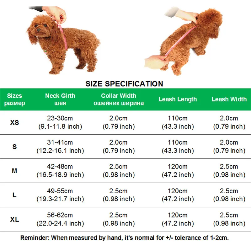 DHgate.com:GLORIOUS KEK Custom Engraved Dog Collar & Leash Set: Rainbow ...