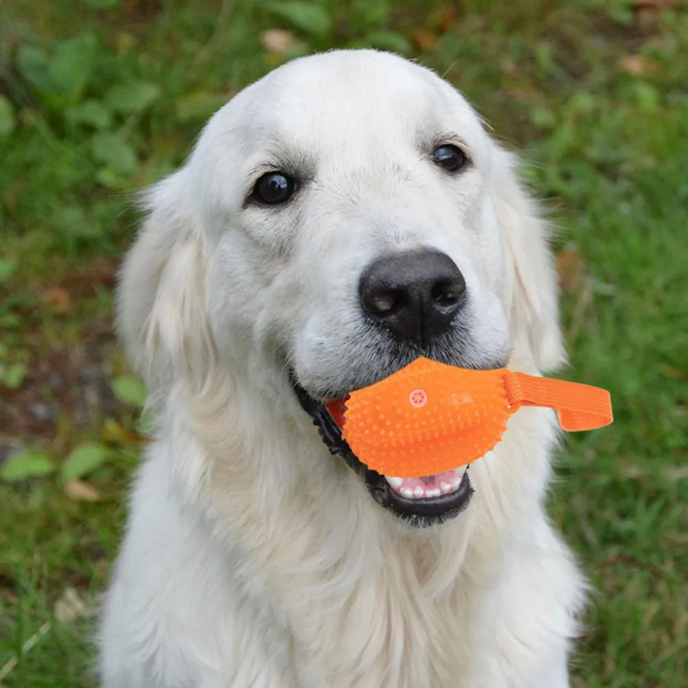 Washable Rubber Dog Chew Toy with Squeak Sound for Outdoor Use from ...