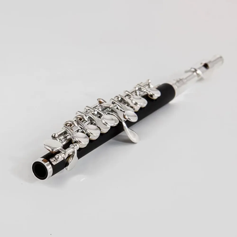 Professional C Key Piccolo Music Instrument - Silver & Black, Includes ...