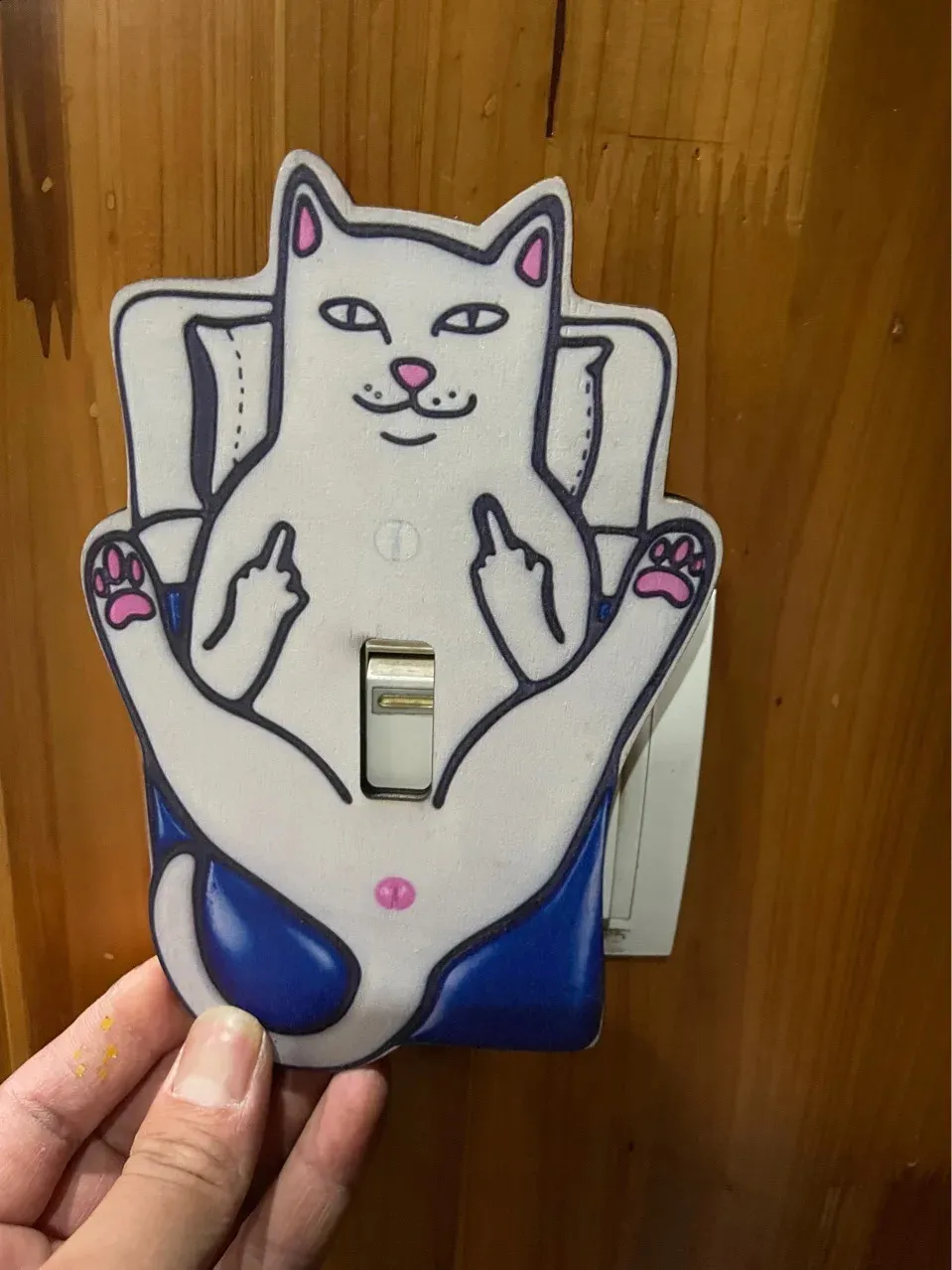 Funny Cat Switch Stickers: Anti Fouling Wall Decor For Home Switch ...