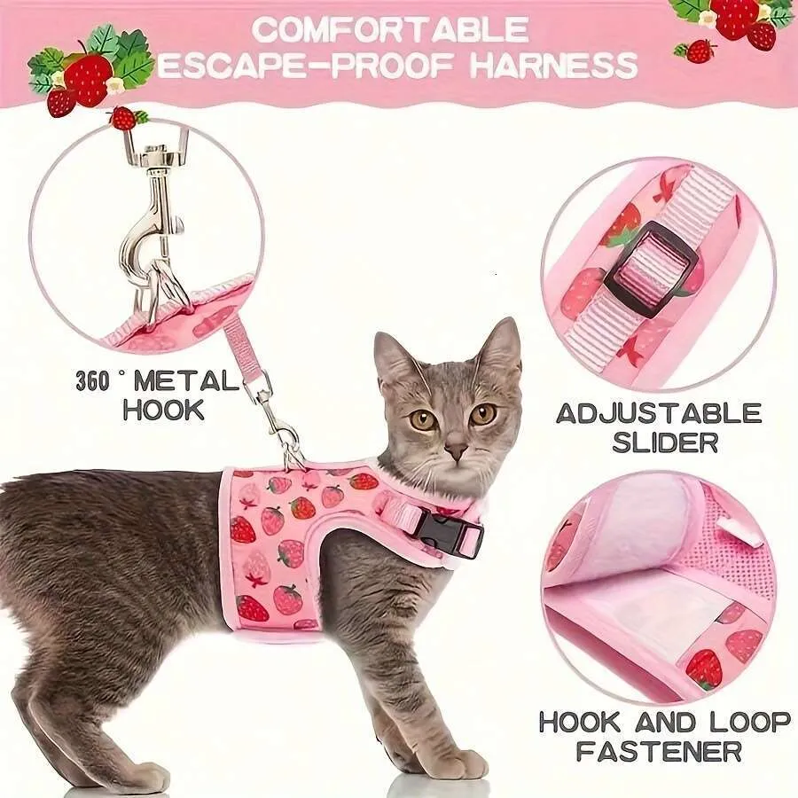 Cute Fruit Patterned full body safety harness, Leash, and Collar Set ...