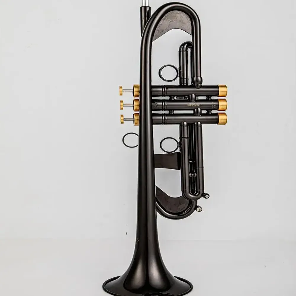 DHgate.com:Pro Bb Small Trumpet in Black Nickel Gold Key for ...
