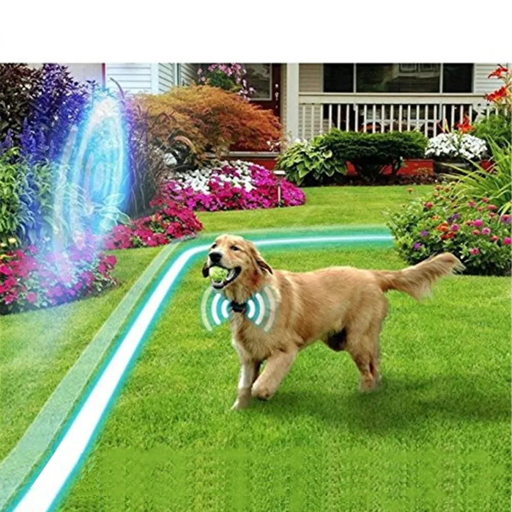 Best Wireless Dog Fence System