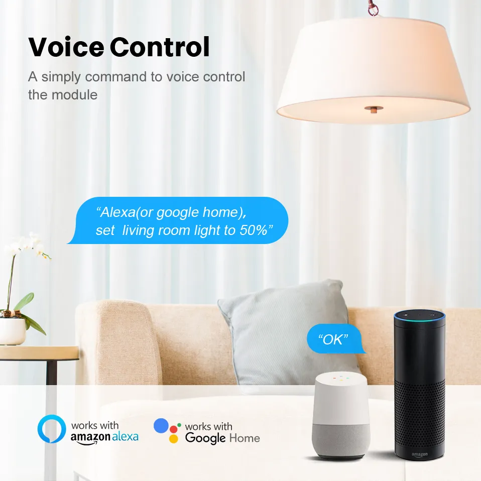 Smart Ceiling Light Alexa Compatible WiFi Dimmer Module: 2 Way Control ...
