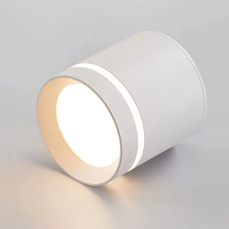 Dimmable Nordic LED Surface Mounted Ceiling Downlight 5W To 15W, Side ...