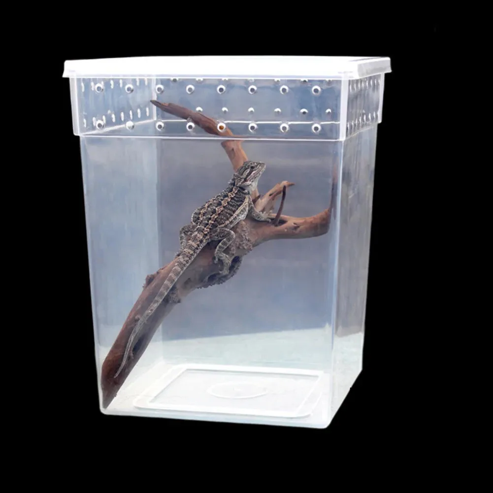 Reptile Feeding Box Tarantula Enclosure Turtle Tank Aquarium Lizard ...