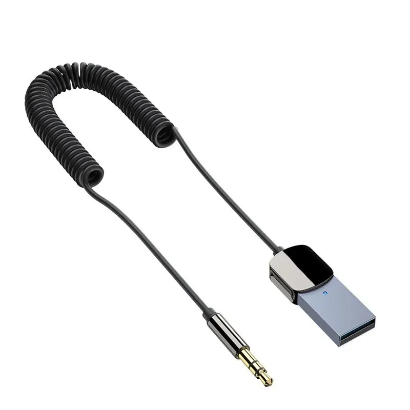 Aux cord with dongle store